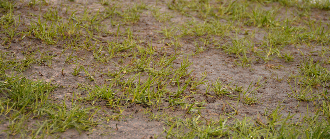 Mud